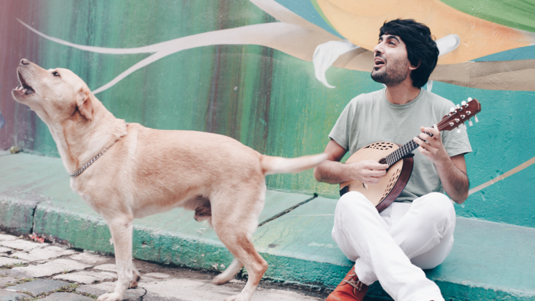 Thüringer Bachwochen: The Baroque Festival in Thuringia